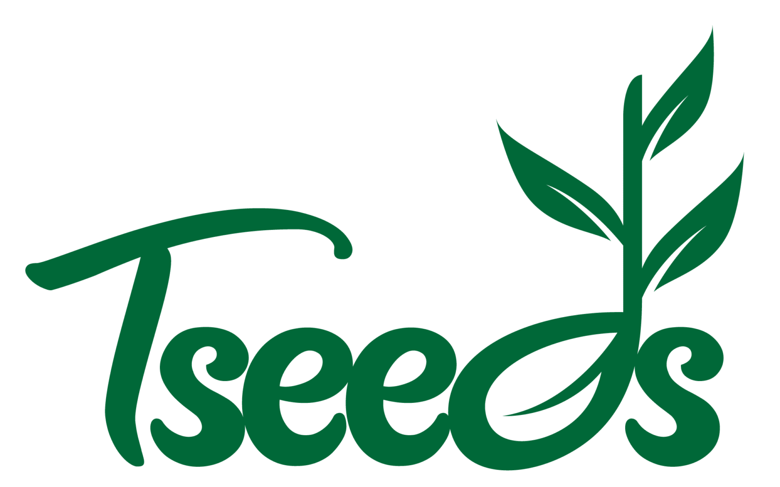 Paper Recycling Solutions – Tseeds